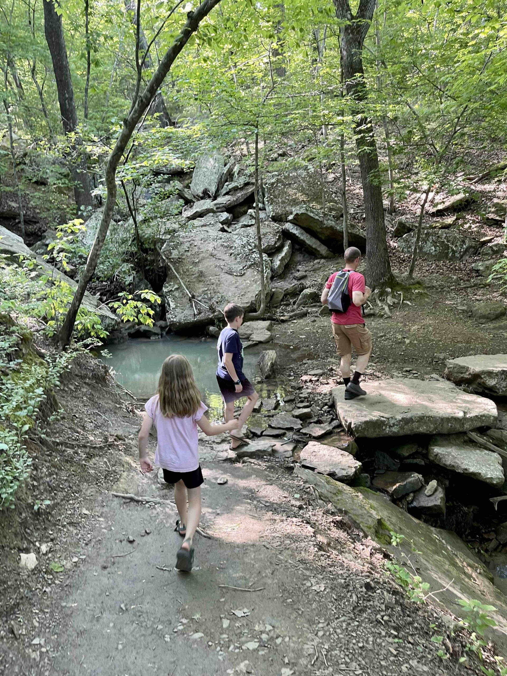 Devil's Den State Park: A Nature Lover's Paradise - Pam Gann