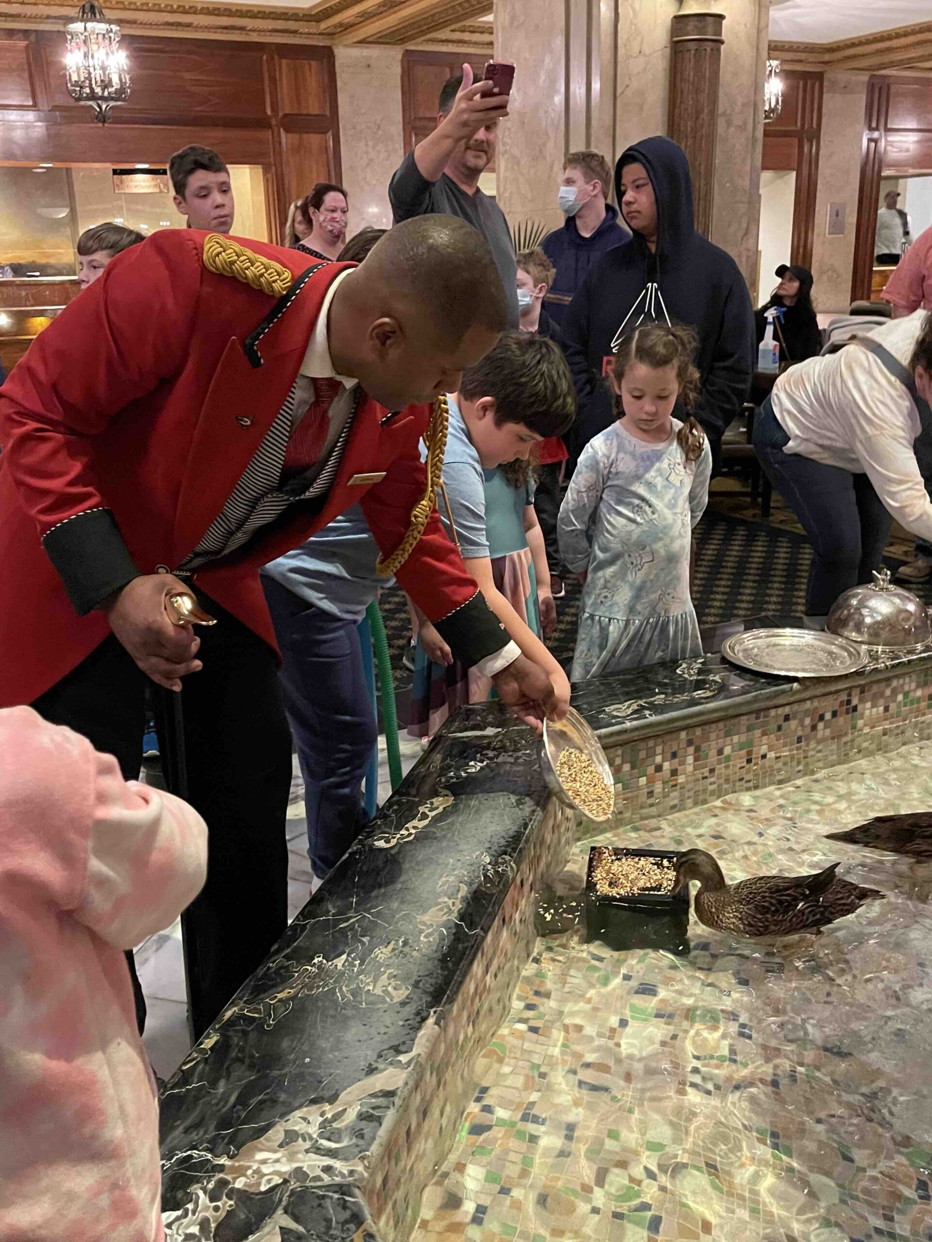 9 Things to Know When Visiting the Peabody Ducks in Memphis, TN